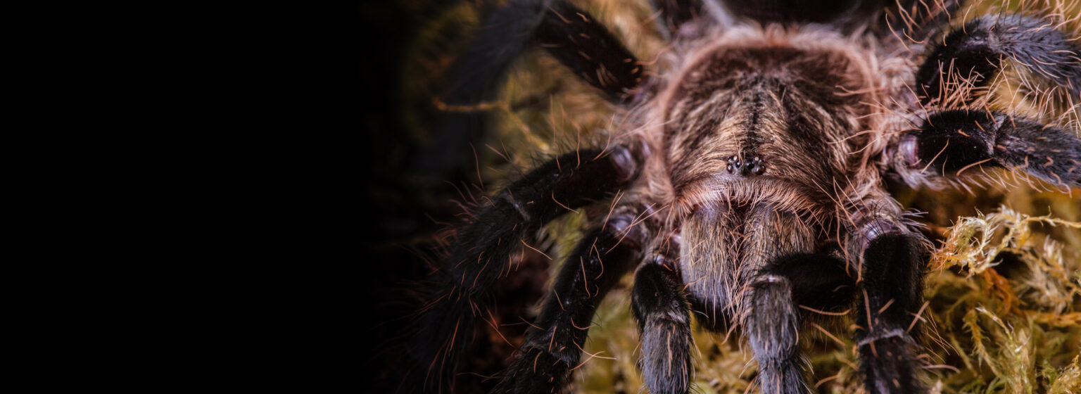 Home - NW Zoological Supply